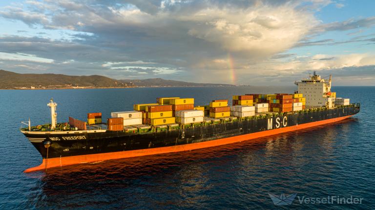 MSC FREEPORT, Container Ship - Details and current position - IMO ...