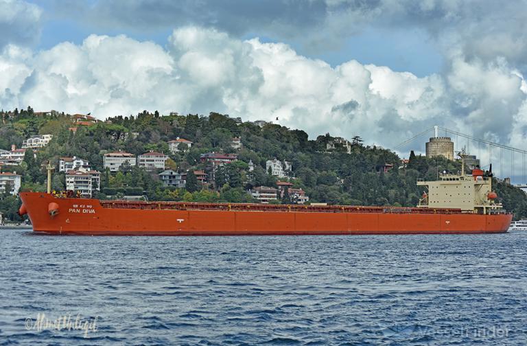 PAN DIVA, Bulk Carrier - Scheepsdetails en huidige positie - IMO ...