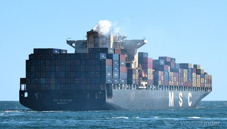 MSC TIANPING, Container Ship - Details and current position - IMO ...