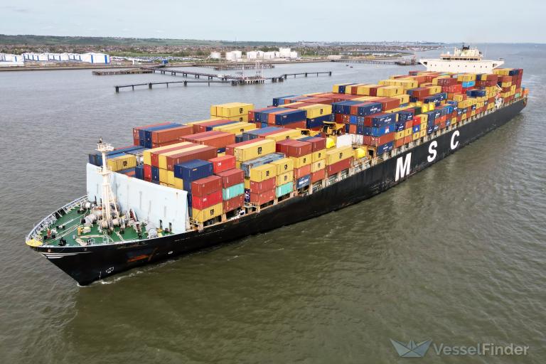 MSC TIANPING, Container Ship - Details and current position - IMO ...