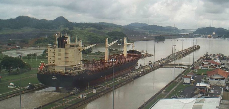 TIGER, Container Ship - Details and current position - IMO 9307841 ...