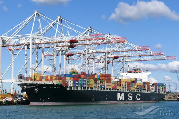 MSC SILVANA, Container Ship - Details and current position - IMO ...