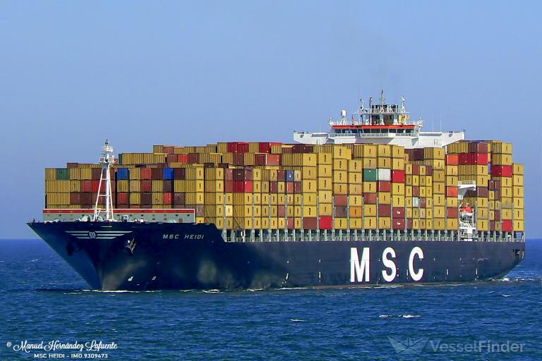 MSC HEIDI, Container Ship - Details and current position - IMO 9309473 ...