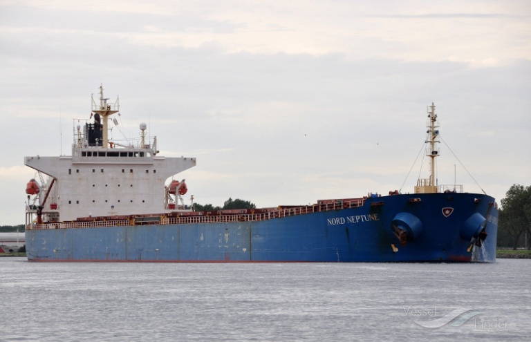 THE GIVER, Bulk Carrier - Details and current position - IMO 9310537 ...