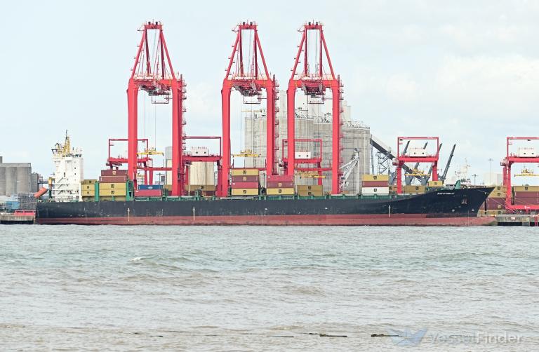 MSC SPRING III, Container Ship - Details and current position - IMO ...