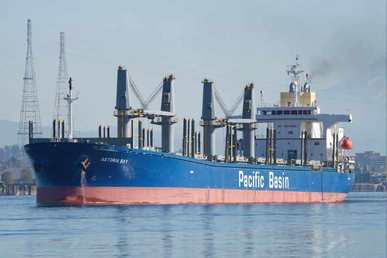 ASTORIA BAY, Bulk Carrier - Details and current position - IMO 9317482 ...