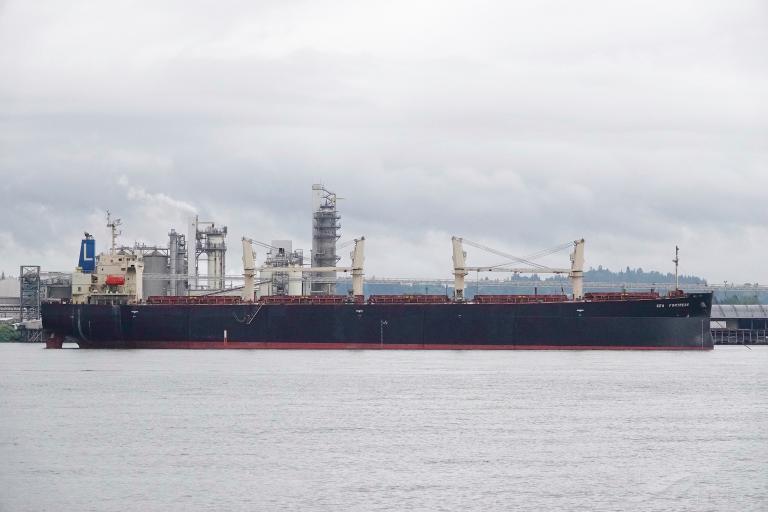 SEA FORTRESS, Bulk Carrier - Details and current position - IMO 9317547 ...