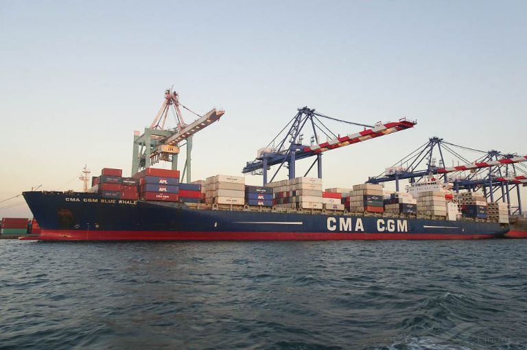CMA CGM BLUE WHALE, Container Ship - Details and current position - IMO ...