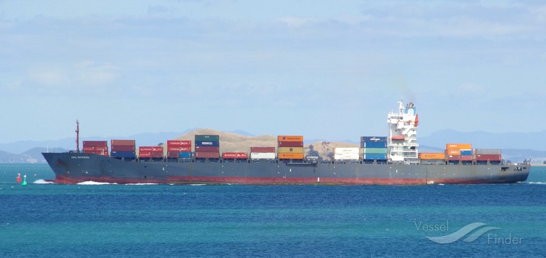 MSC ANUSHA III, Container Ship - Details and current position - IMO ...