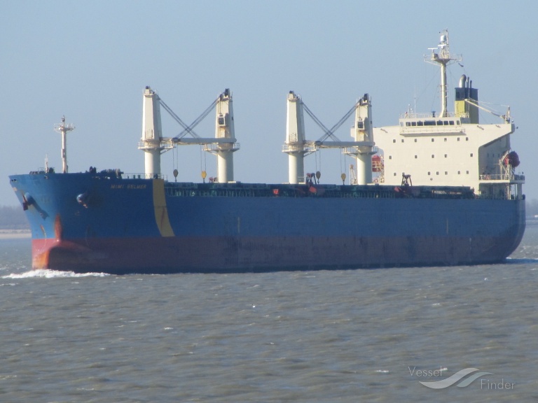GUNALEILA, Bulk Carrier - Details and current position - IMO 9324083 ...