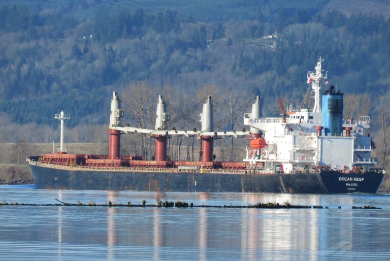 LIDA 27, Bulk Carrier - Details and current position - IMO 9324605 ...
