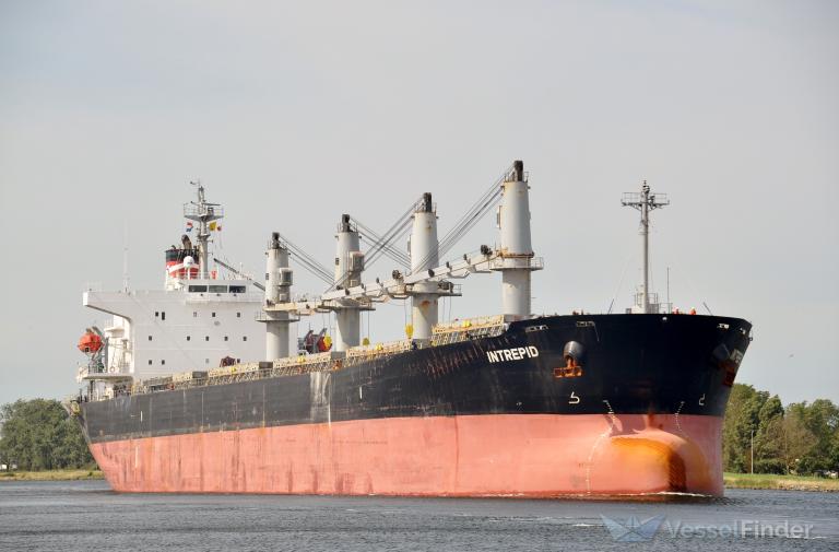 INTREPID, Bulk Carrier - Details and current position - IMO 9324629 ...