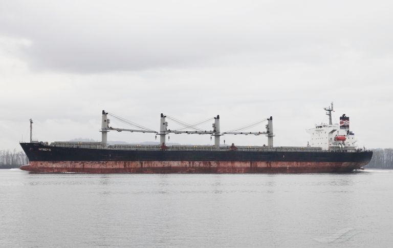 M V INTREPID, Bulk Carrier - Details and current position - IMO 9324629 ...