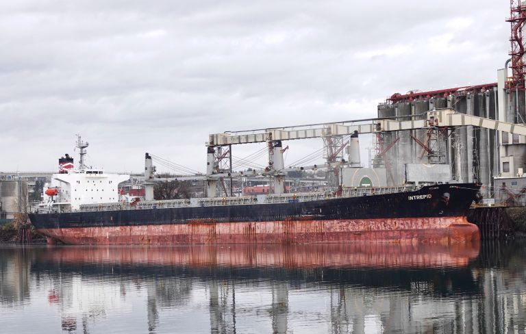 MV INTREPID, Bulk Carrier - Данные судна и текущее положение - IMO ...