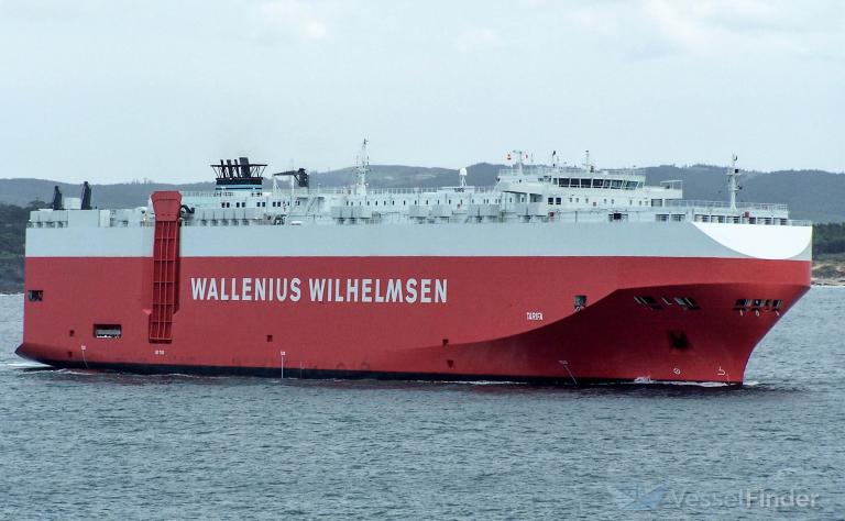 TARIFA, Vehicles Carrier - Details and current position - IMO 9327748 ...