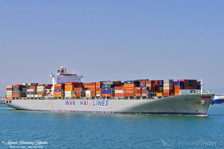 MSC LONG BEACH VI, Container Ship - Details and current position - IMO ...