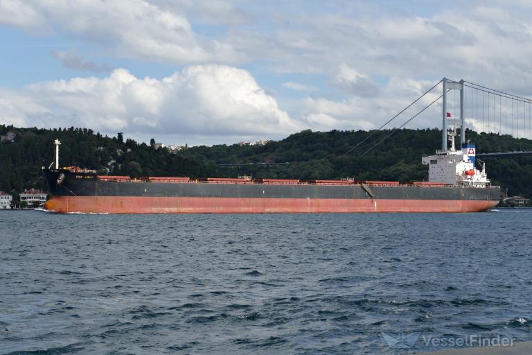 STAR LAURA, Bulk Carrier - Details and current position - IMO 9328936 ...
