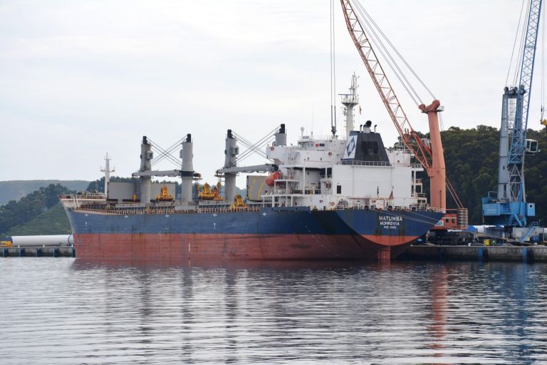 M GARNET, Bulk Carrier - Details and current position - IMO 9330082 ...