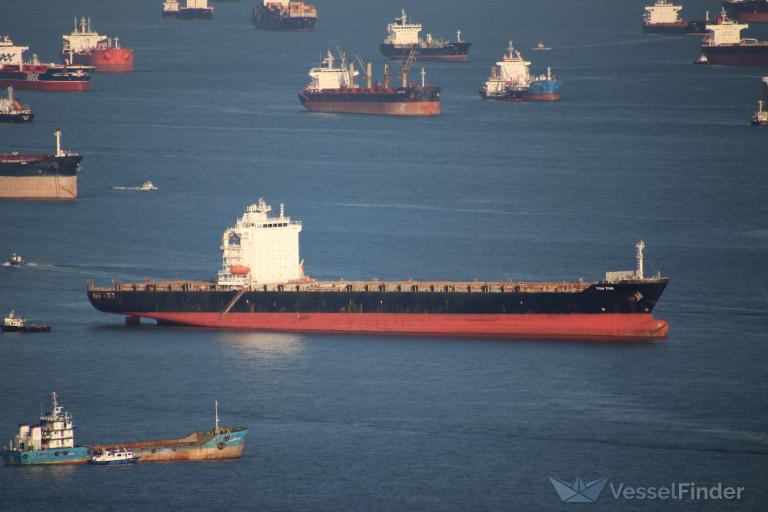 LIDIA, Container Ship - Details and current position - IMO 9330501 ...