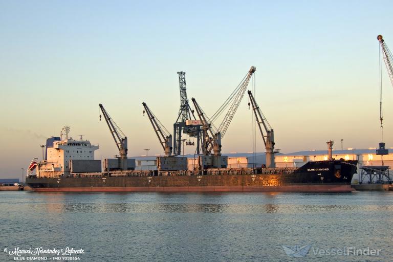 BLUE DIAMOND, Bulk Carrier - Details and current position - IMO 9330654 ...