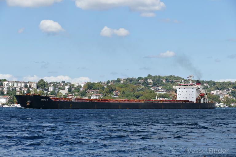 NARA I, Bulk Carrier - Details and current position - IMO 9332212 ...
