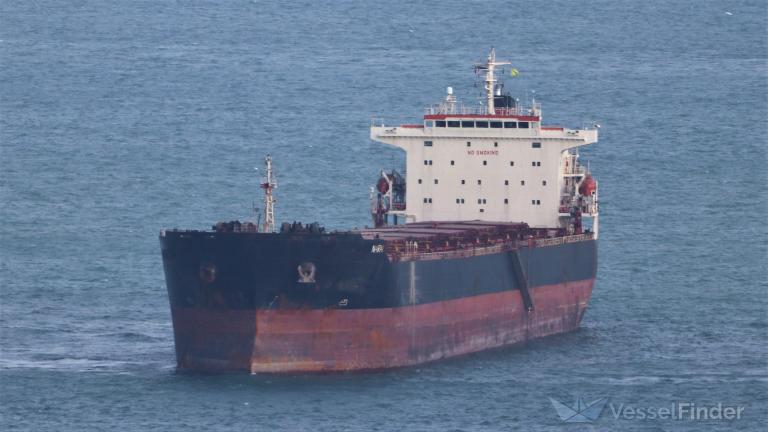 NARA I, Bulk Carrier - Details and current position - IMO 9332212 ...