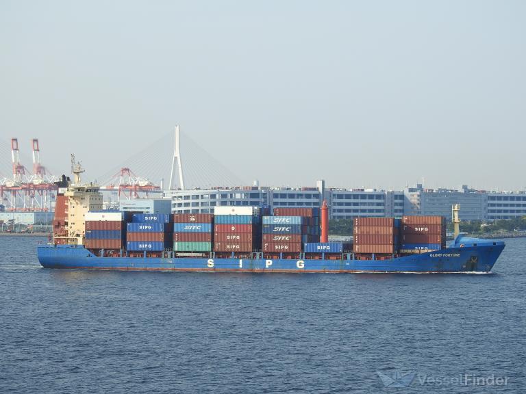 MSC FORTUNE F, Container Ship - Details and current position - IMO ...