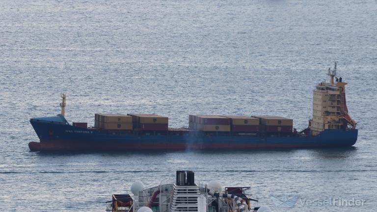 MSC FORTUNE F, Container Ship - Details and current position - IMO ...