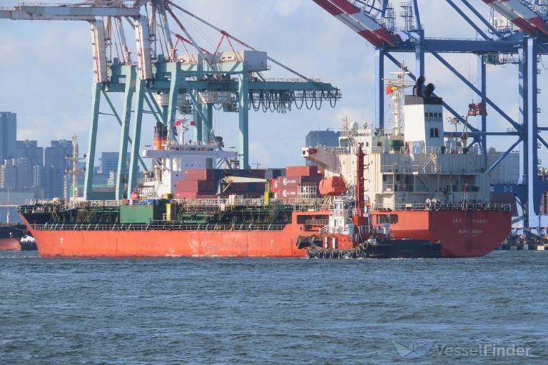 SEA ELEGANT, Chemical/Oil Products Tanker - Details and current ...