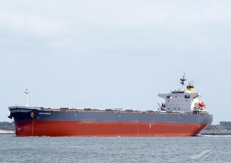 Delphinus Bulk Carrier Details And Current Position Imo 9336000