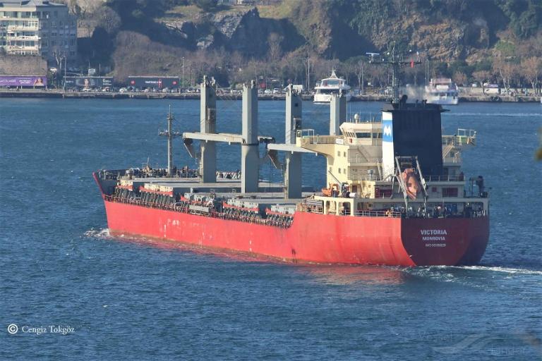 VICTORIA, Bulk Carrier - Details and current position - IMO 9336828 ...