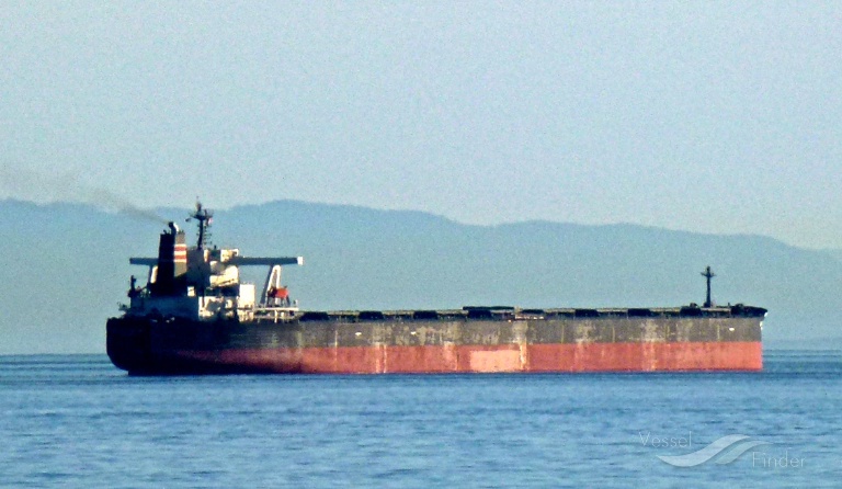 OCEAN PROMETHEUS, Bulk Carrier - Details and current position - IMO ...