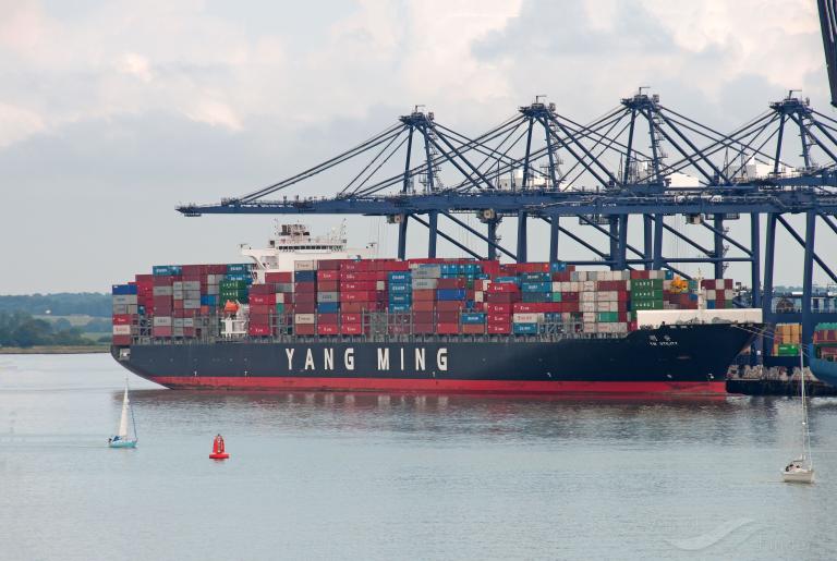 YM UTILITY, Container Ship - Details and current position - IMO 9337470 ...