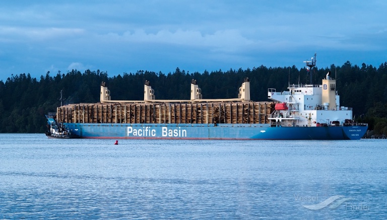 LONGVIEW LOGGER, Bulk Carrier - Details and current position - IMO ...