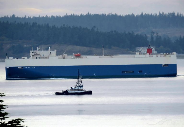 SALVIA ACE, Vehicles Carrier - Details and current position - IMO ...