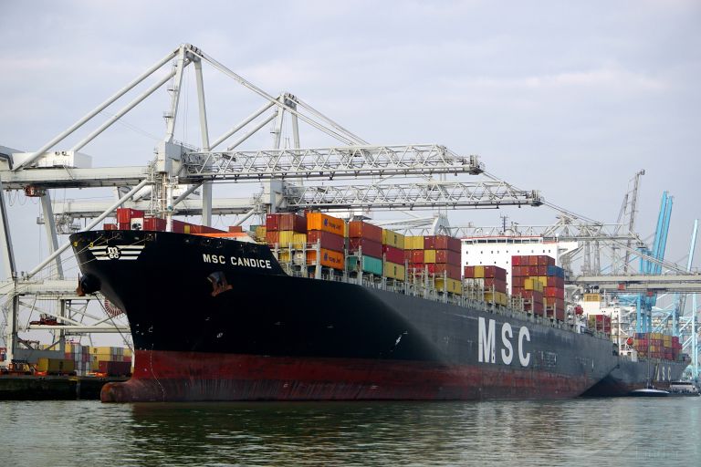 MSC CANDICE, Container Ship - Details and current position - IMO ...
