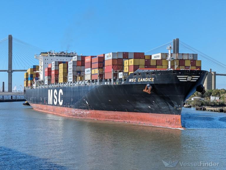 MSC CANDICE, Container Ship - Details and current position - IMO ...