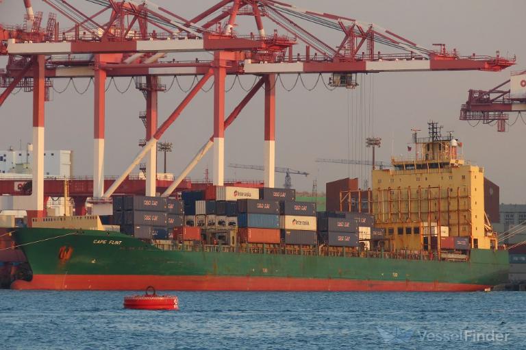 MSC MANASVI II, Container Ship - Details and current position - IMO ...