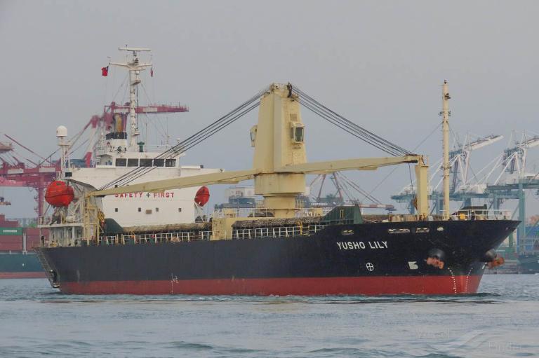 ST LILY, General Cargo Ship - Details and current position - IMO ...