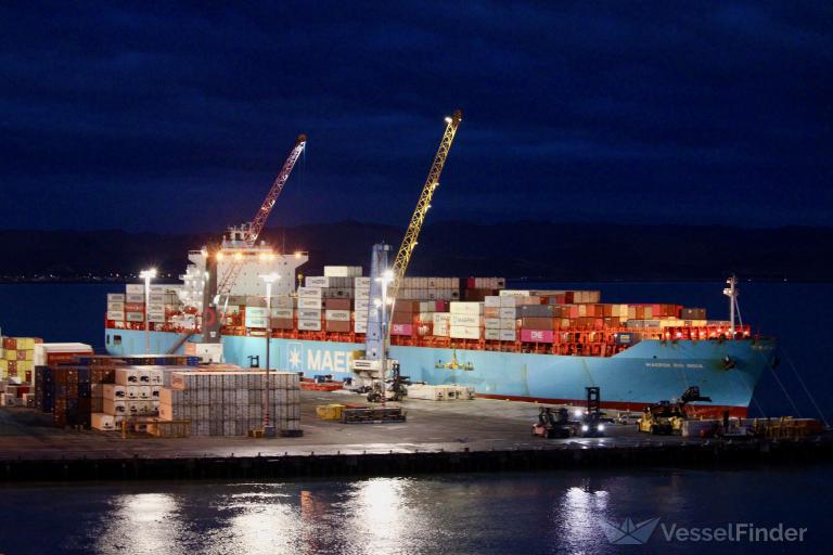MAERSK RIO INDIA, Container Ship - Details and current position - IMO ...