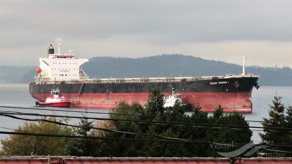 OCEAN TRADER I, Bulk Carrier - Detalles del buque y posición actual ...
