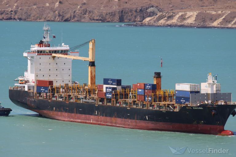 EMORA, Container Ship - Details and current position - IMO 9362700 ...