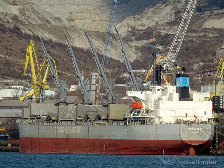 DELOS DAWN, Bulk Carrier - Detalles del buque y posición actual - IMO ...