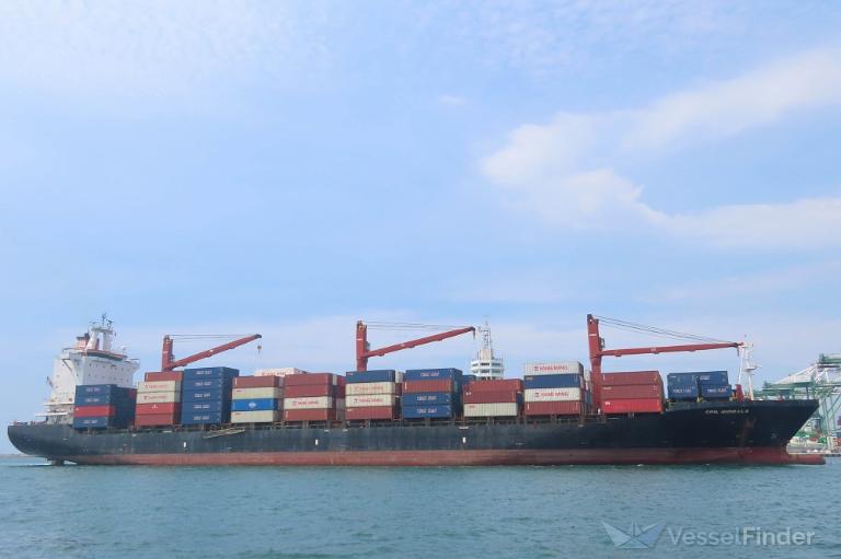 SPIL NIRMALA, Container Ship - Details and current position - IMO ...