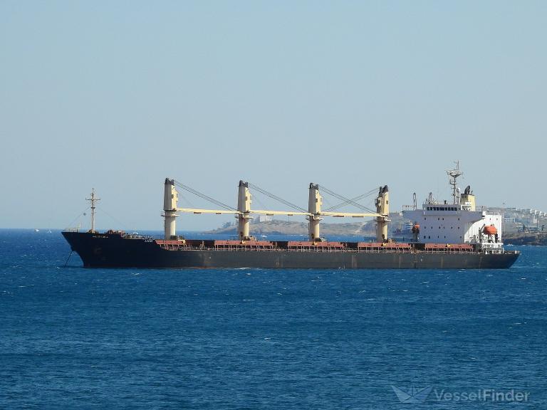 LION, General Cargo Ship - Details and current position - IMO 9370147 ...