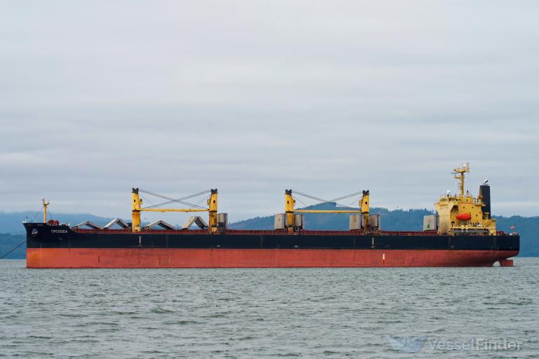 ATLANTIC VISION, Bulk Carrier - Detalles del buque y posición actual ...
