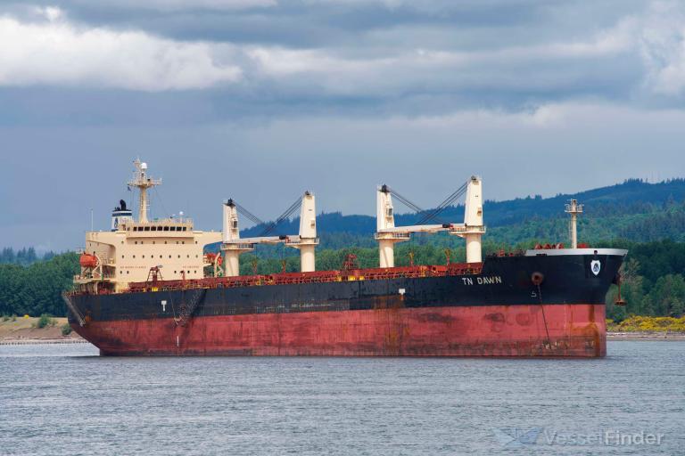 TN DAWN, Bulk Carrier - Details and current position - IMO 9373993 ...