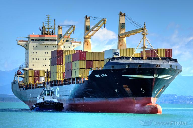 MSC LIDIA, Container Ship - Details and current position - IMO 9383223 ...
