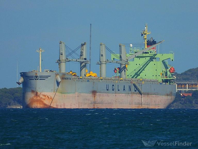 VIRGO STELLAR, Bulk Carrier - Details and current position - IMO ...