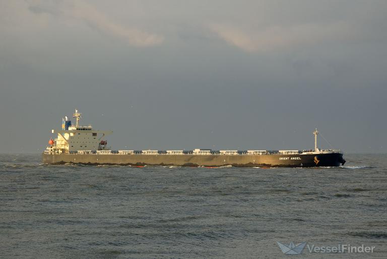 APRIL, Bulk Carrier - Details and current position - IMO 9384916 ...